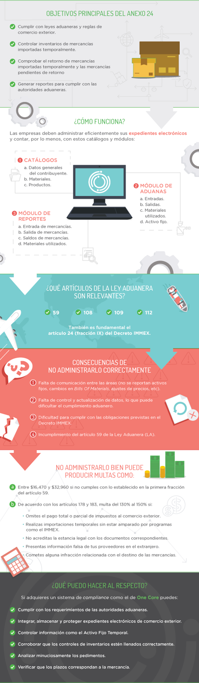 [Infografía] Anexo 24: los puntos básicos que debes conocer