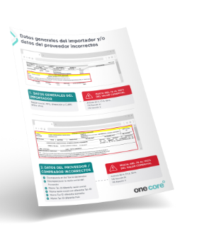 Pedimento aduanal : qué es, estructura y elementos